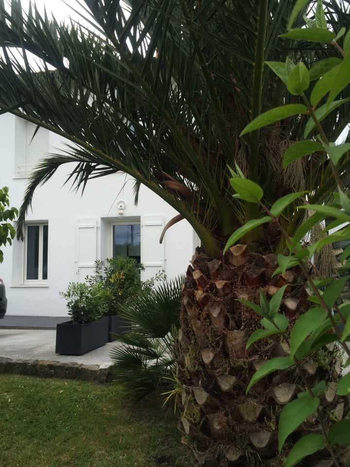 App F3 Independent House With Garden In -Anglet - Anglet