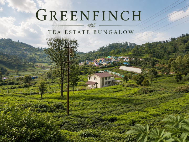 The Luxurious Greenfinch Tea Plantation Bungalow - Coonoor