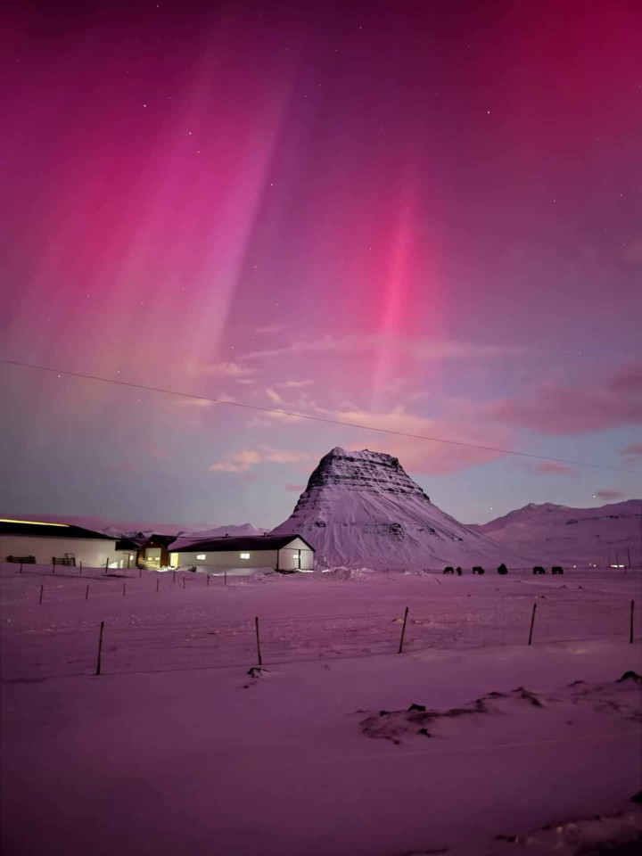 Berg 2 Horse Farm Life - Iceland