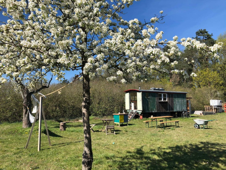 6eichen - Neuruppin