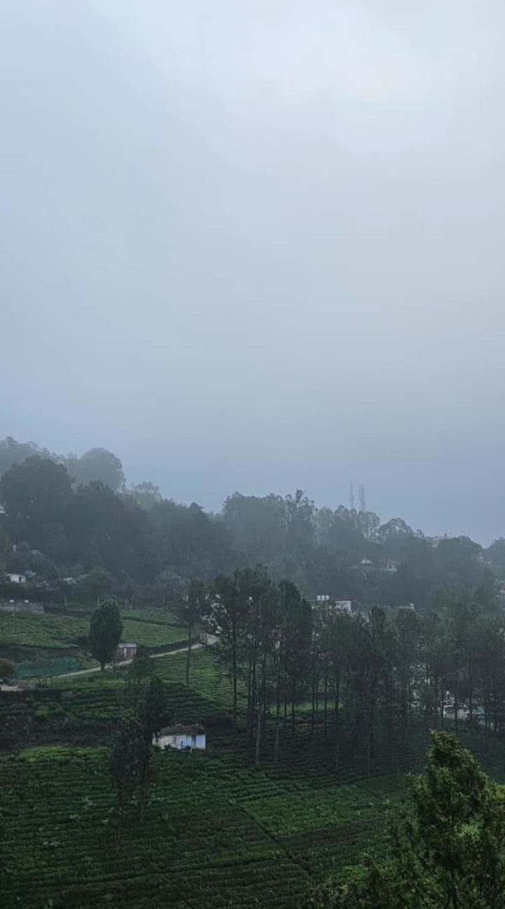 Disa's - Mistral White Villa - Kotagiri