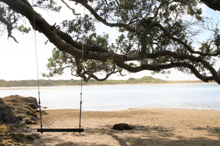 Kakariki By The Sea - Tutukaka