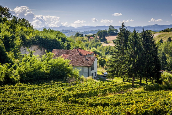Charming Private Countryhouse Immersed In The Vineyards - Piedmont