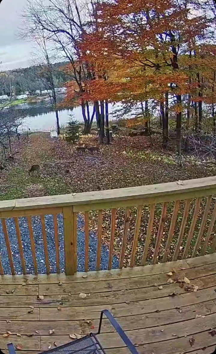 Happy Jacks Hideaway On The Lake. - Waymart, PA