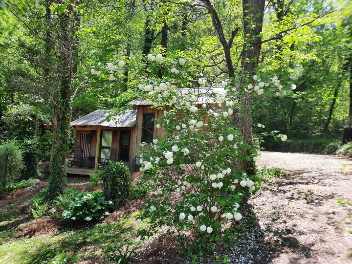 Cabin / Cottage In Franklin, The Rusty Nail - Franklin, NC