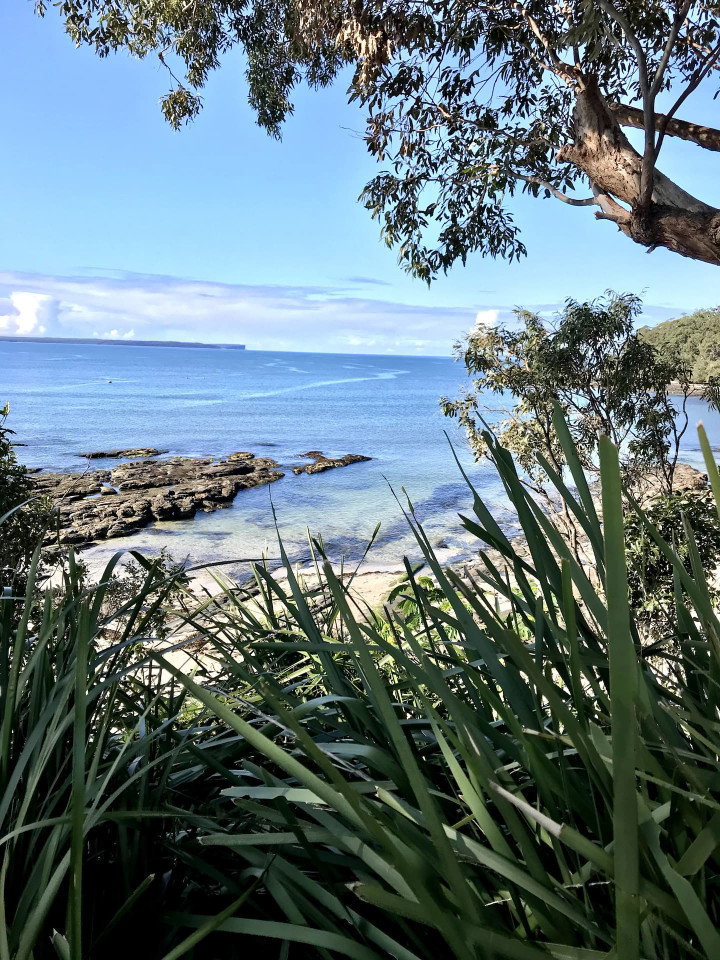Husky Haven - Just Magic! - South Coast
