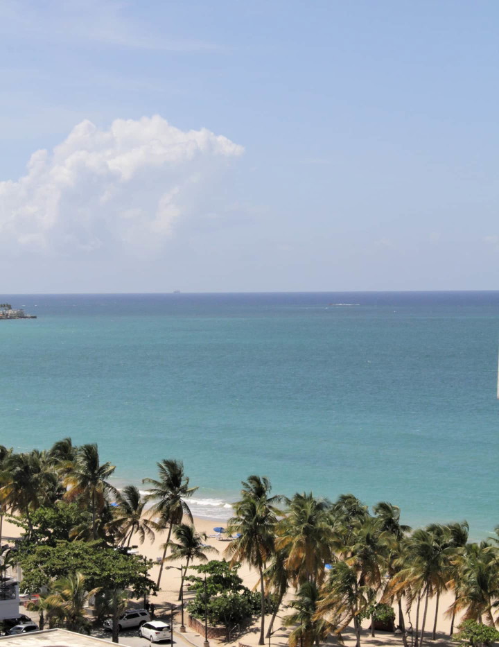 Beach Studio Isla Verde-sea Dollar #3 - San Juan