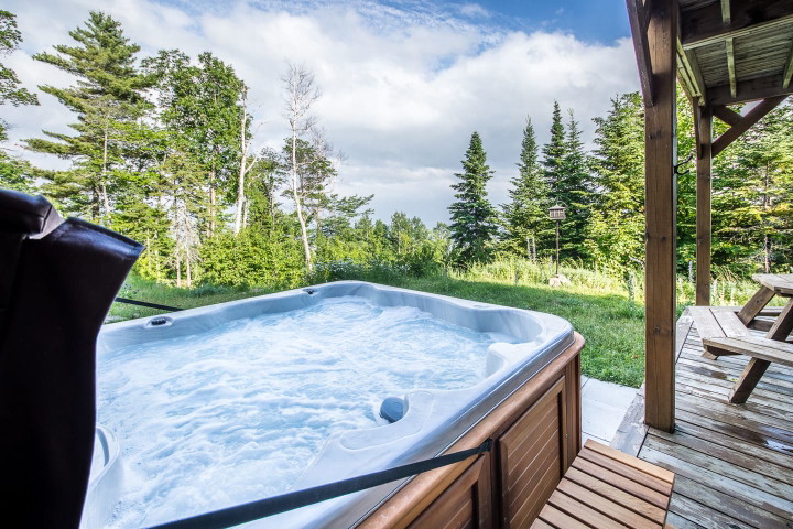 Condo Ski Nature Au Jardin Avec Spa - Le Massif de Charlevoix