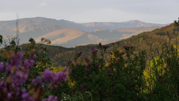 Gite Insolite En Forêt, Terrasse Panorama Vercors - Saou