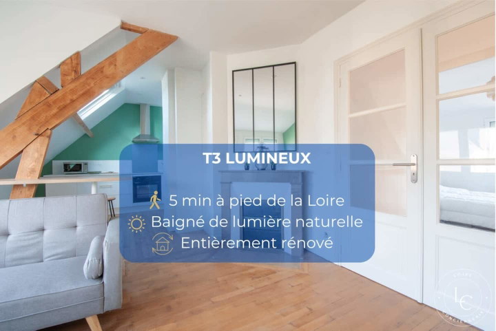 Lumineux 70 M à Deux Pas Du Centre Et De La Loire - Orléans