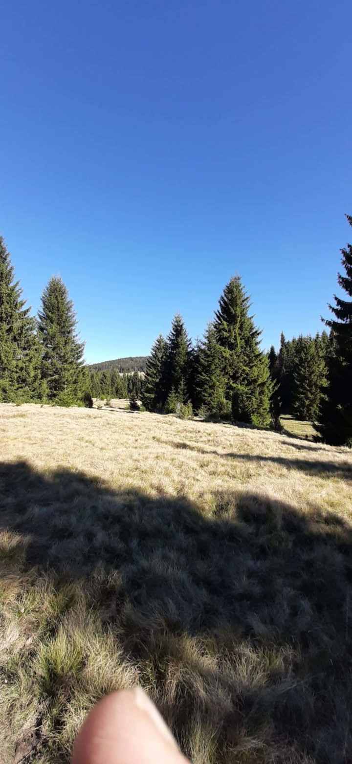 Zlatibor 800 Metara Vila Udaljena Od Centra. - Zlatibor