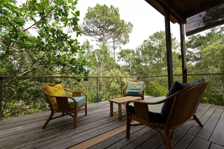 Canopéa. Maison Dans Les Bois - Carcans