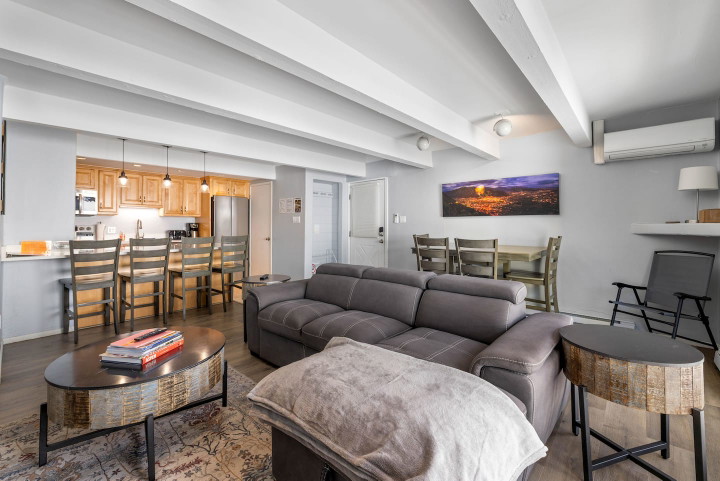 Downtown Aspen Condo Near Slopes & Dining - Aspen