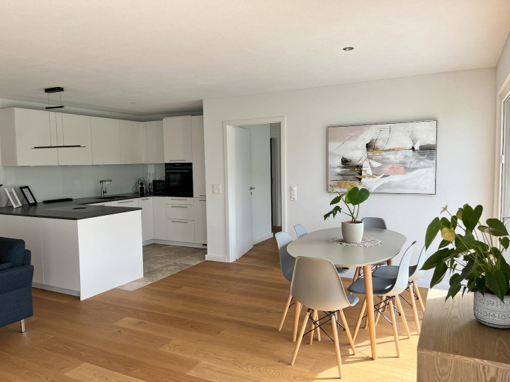 Appartement De Jardin De Style Moderne - Aarau