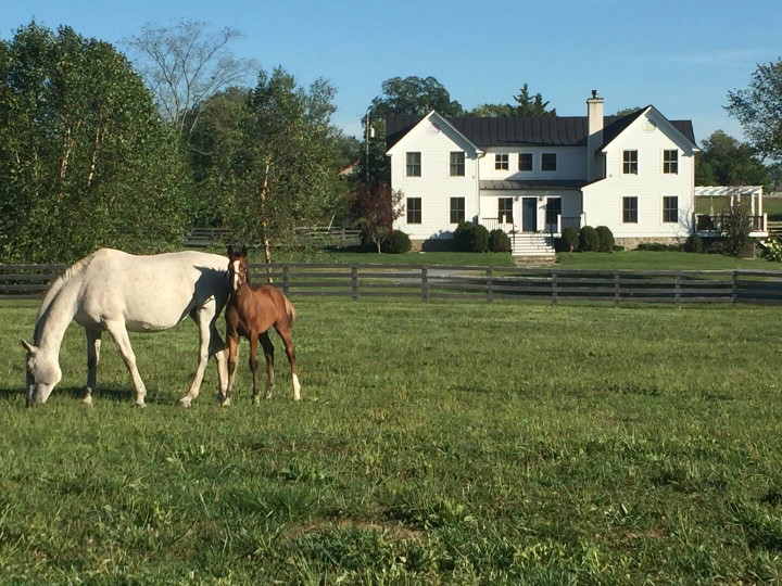 Curated 1908 Middleburg Farmhouse · Near Uchs - Middleburg, VA