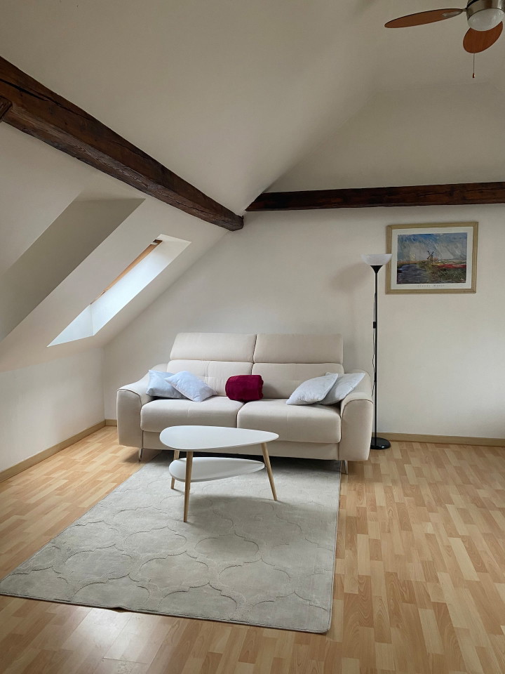 Strasbourg Apartment - Strasbourg