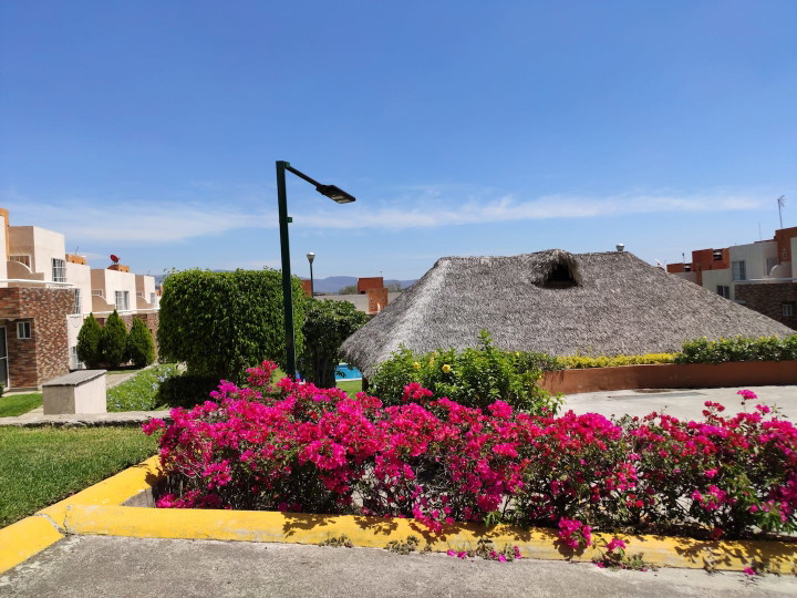Relaxation, Coexistence, And Family Harmony - Temixco
