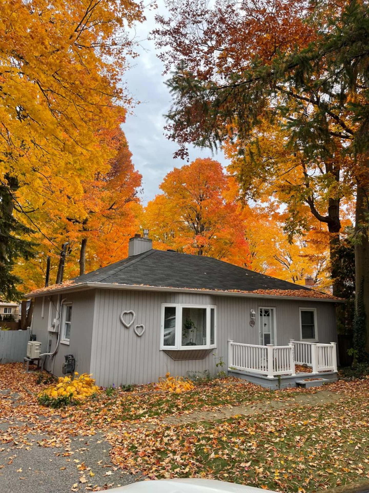 Greystone Cottage In Innisfil - Innisfil