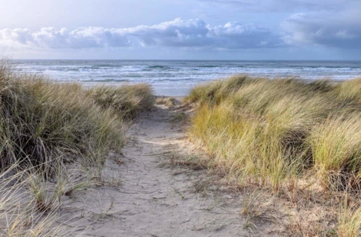 Beautifully Updated Beachfront Home-pet Friendly! - Waldport, OR