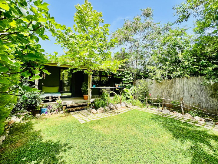 !!Welcome To The Jungle!!! Almond House - Kayaköy