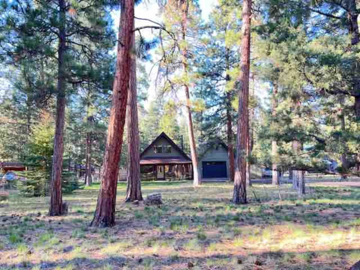Serene Cabin Under The Pines In Sisters, Oregon. - Sisters, OR