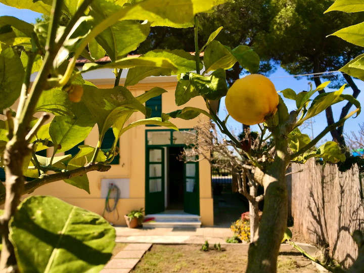 Lemon Garden Pisa - Pisa