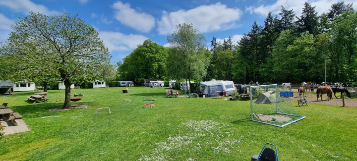 Campingplaats Knollegruun - Netherlands
