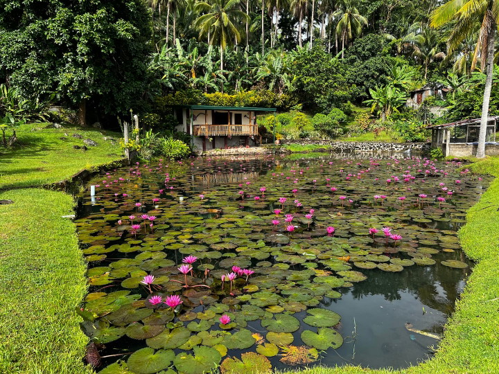 Nancys Fishpond Cabin - Philippines