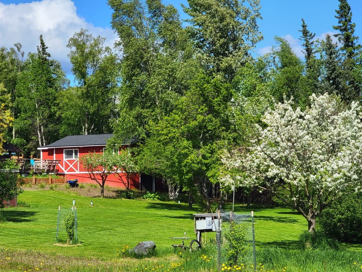 "Clifford" The Big Red Barn - Anchorage, AK