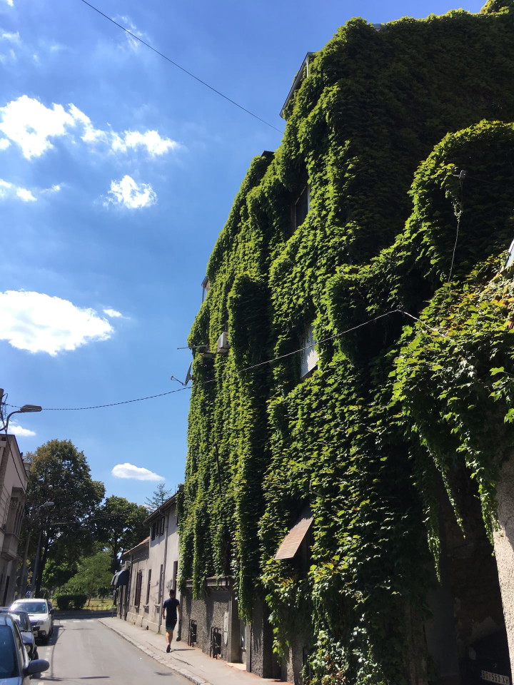 Apartment Park In The Heart Of Belgrade - Belgrad