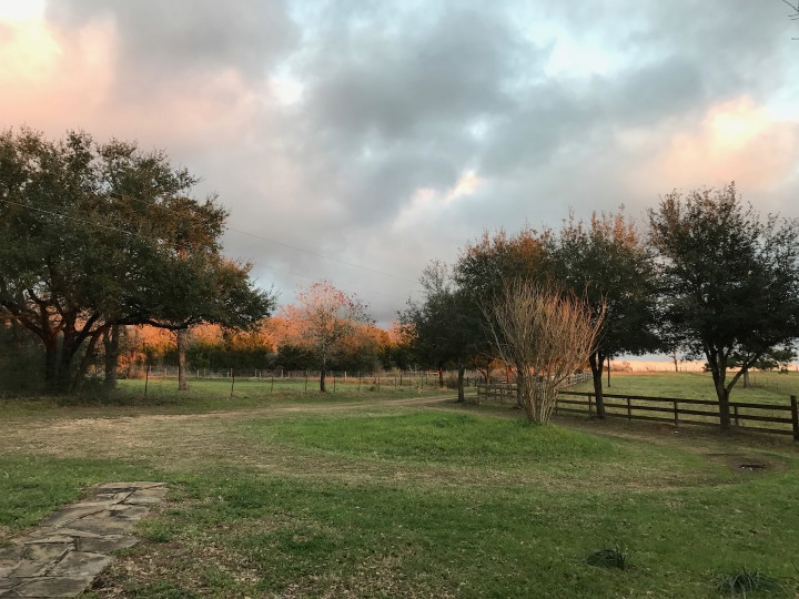 Cozy Texas Bluebonnet Country Cabin - Texas