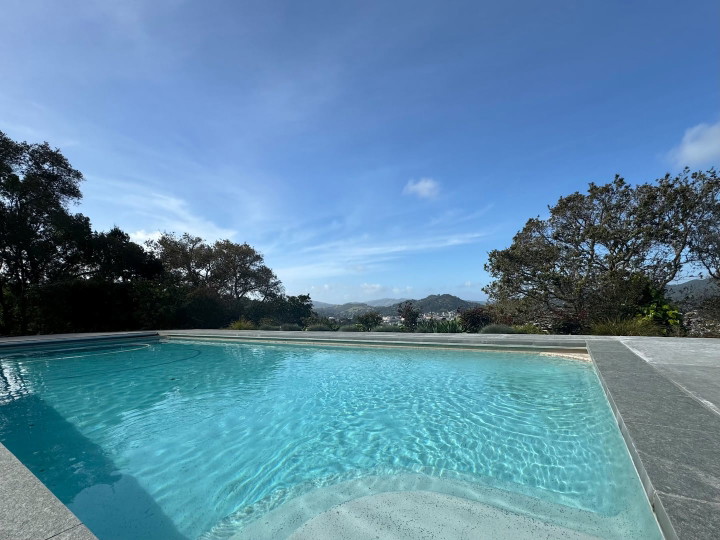 Hillside Wellness Retreat | Pool, Gym & A/c - Tiburon, CA