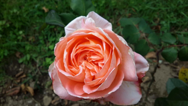 A Pedreira - Cambre