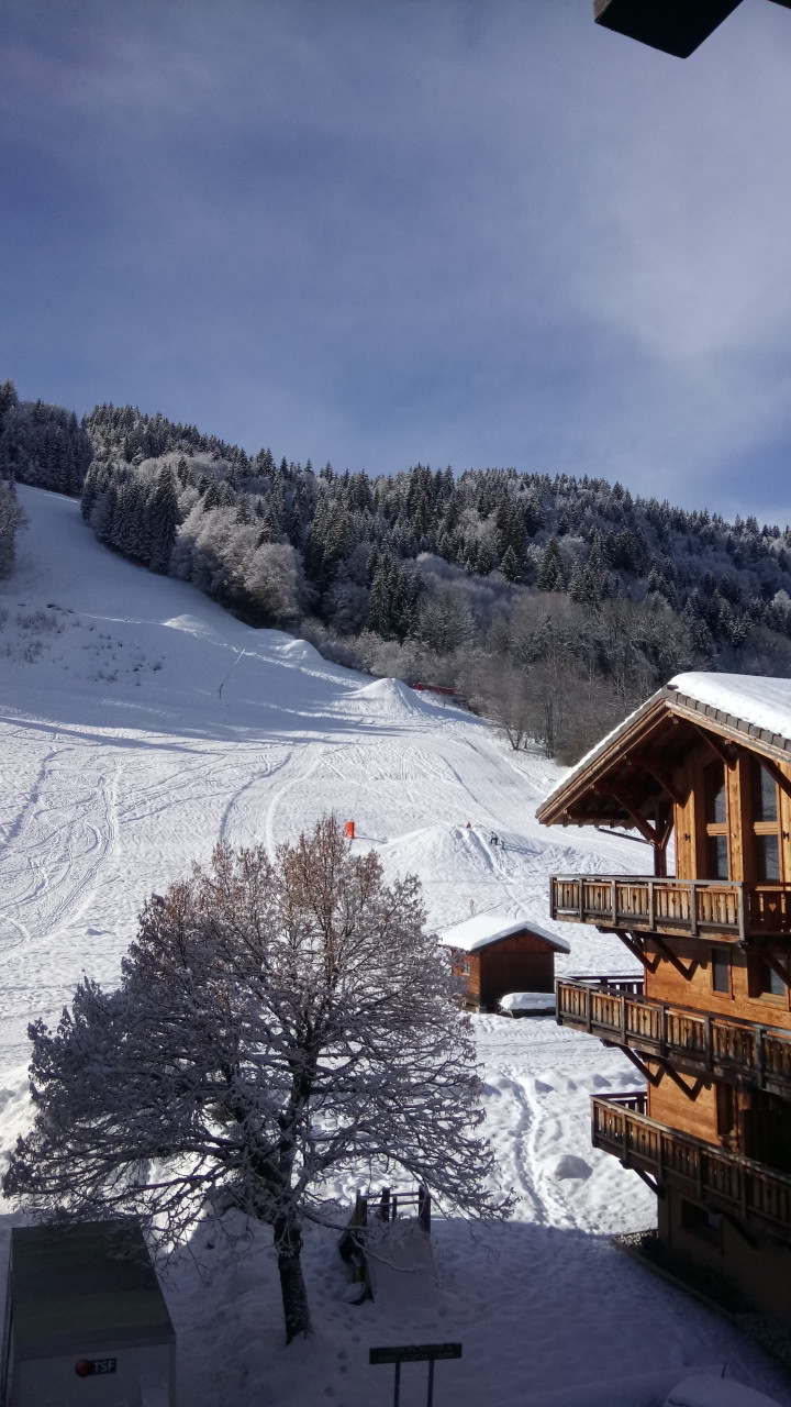 Morzine Résidence Chalet Nid Douillet - Morzine