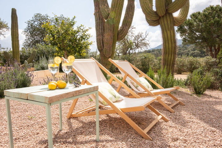 "Es Pujol Petit" - Your Home In Mallorca. - Felanitx