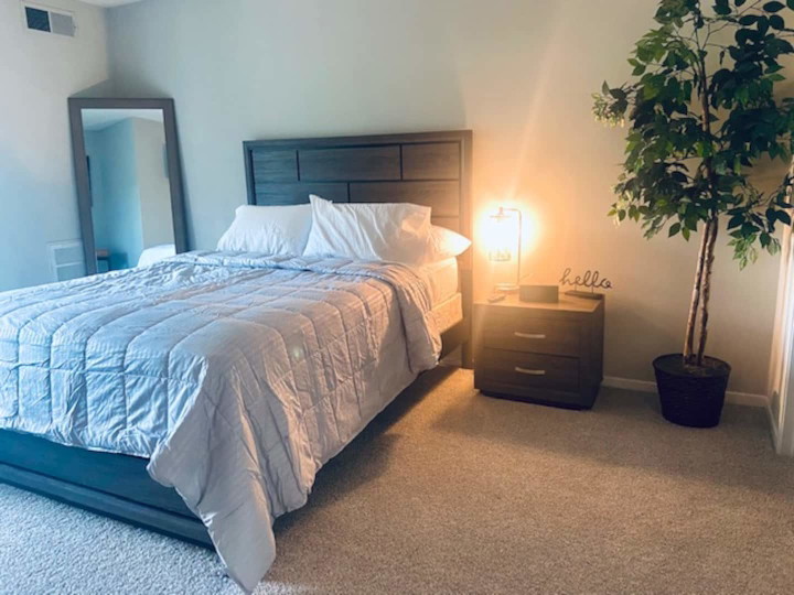 Relaxing 1 Bedroom Executive Suite  In Central Atl - Roswell, GA