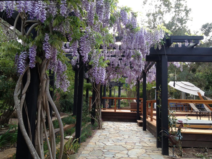 Guest House In Sunny Carmel Valley - Carmel Valley, CA