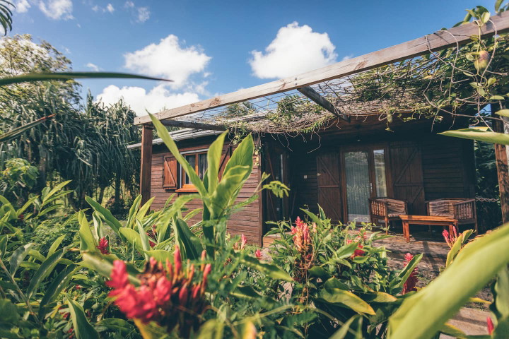 Nature Hut, Serenity, Swimming Pool - Réunion