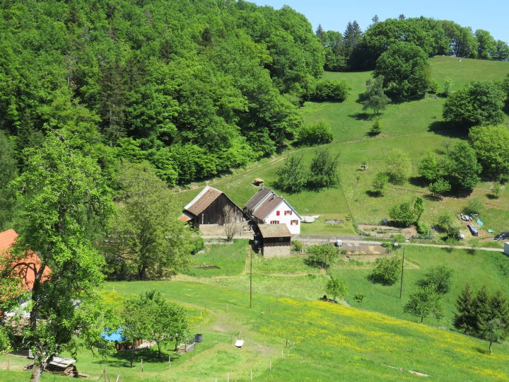 Gîte à Wasserbourg Au Calme En Pleine Nature - Munster