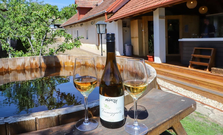 Tokaj-wine Guesthouse & Spa - Tokaj