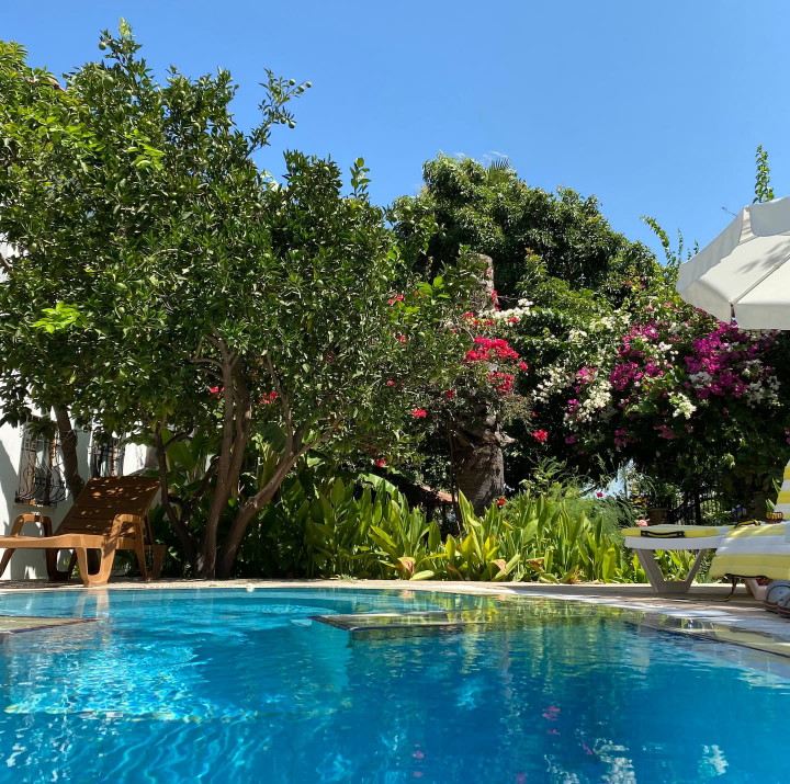 Avocado Suites 2 - Dalyan (Upstairs) - Dalyan