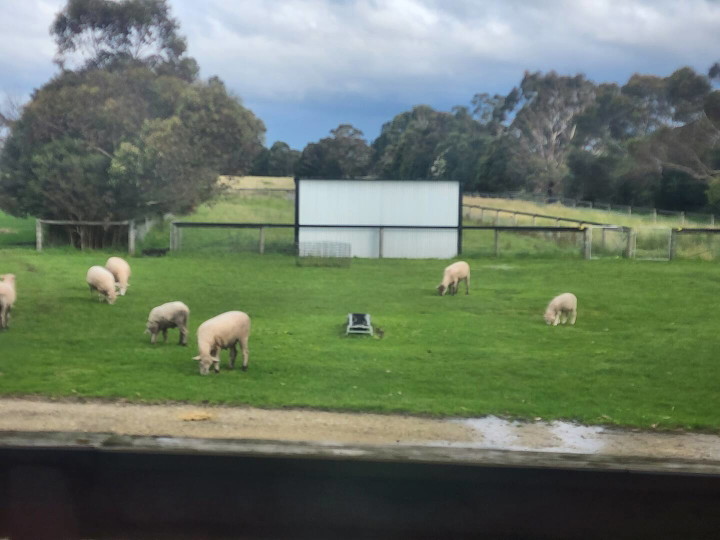 Cosy Cabin On A Petting Farmlet - Bunyip