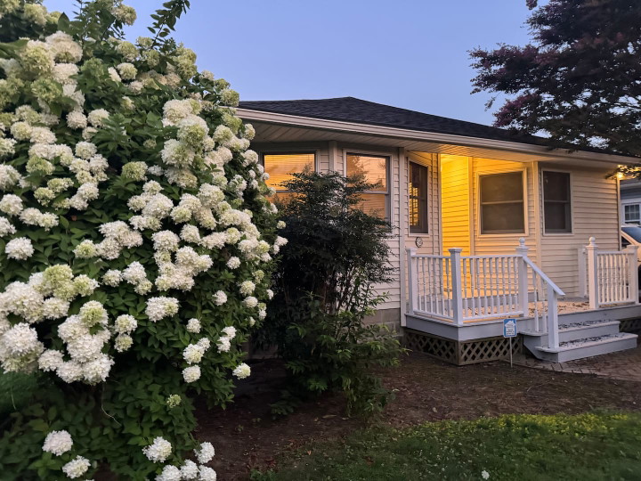 Petals & Porch  Peaceful De Stay - New Castle, DE