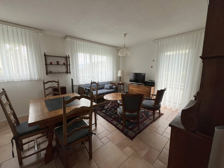 2-room Apartment With Lake View (Antique Furnished) - Zug