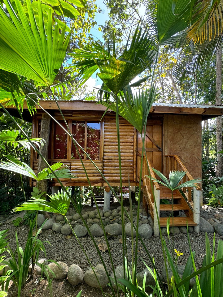 Modern Nature Cabin · Jacuzzi · Gym Access - La Fortuna
