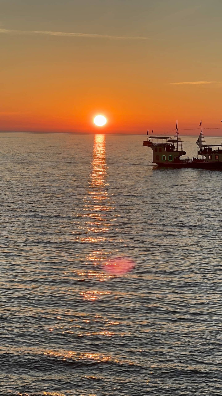 Seas The Day - Baja California