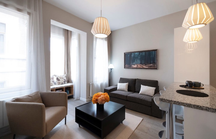Cozy And Comfortable Suite In Galata Area 5 - Turkey
