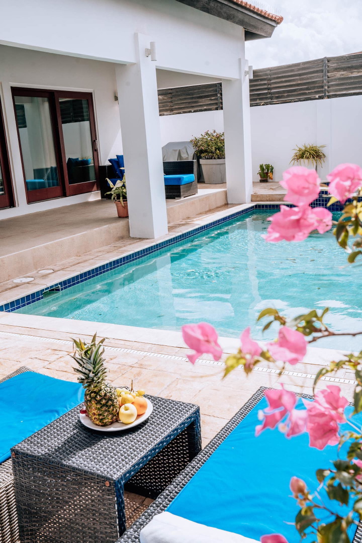 Studio Privé Spacieux Au Bord De La Piscine, Quartier De Malmok Beach - Aruba