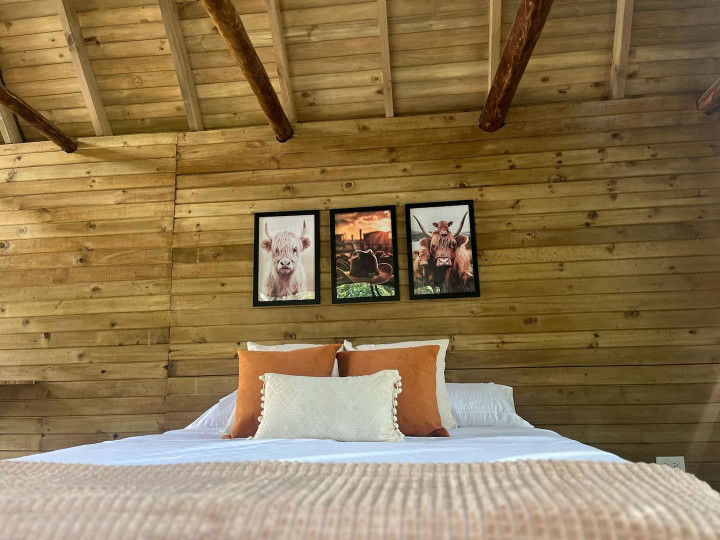 Luxury Riverfront Cabin - San Carlos