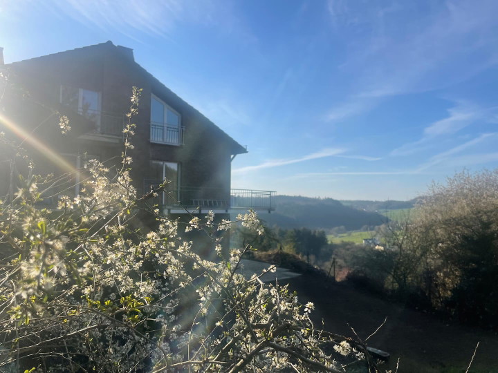 Traumhaus Am Wald - Daun